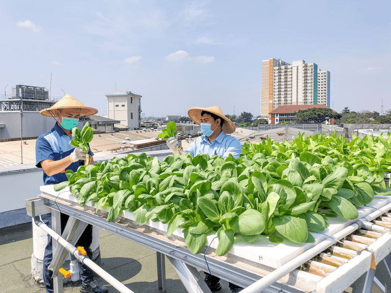 About ISS Indonesia - ISS World